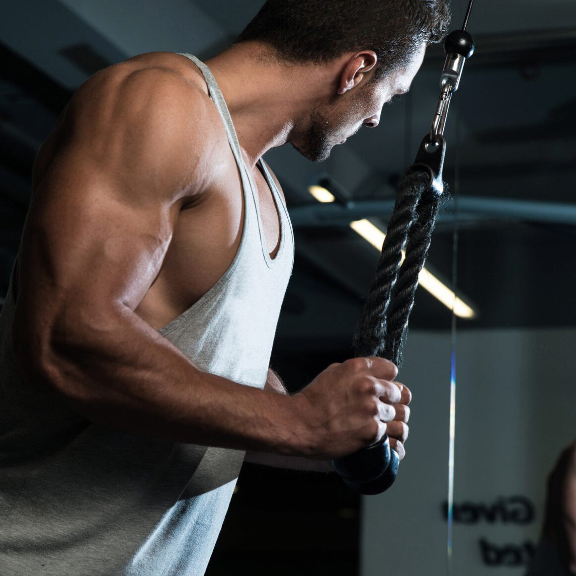 Bar/Cable Attachments – Fitness Exchange